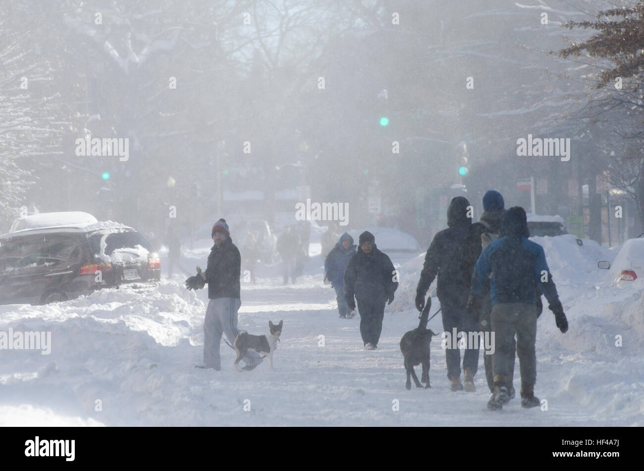 People walk their dogs during a snow storm in Washington, DC Stock ...