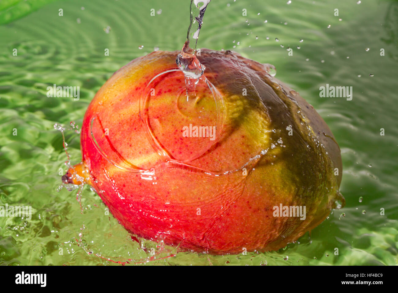 Water splash mango isolated hi-res stock photography and images - Alamy