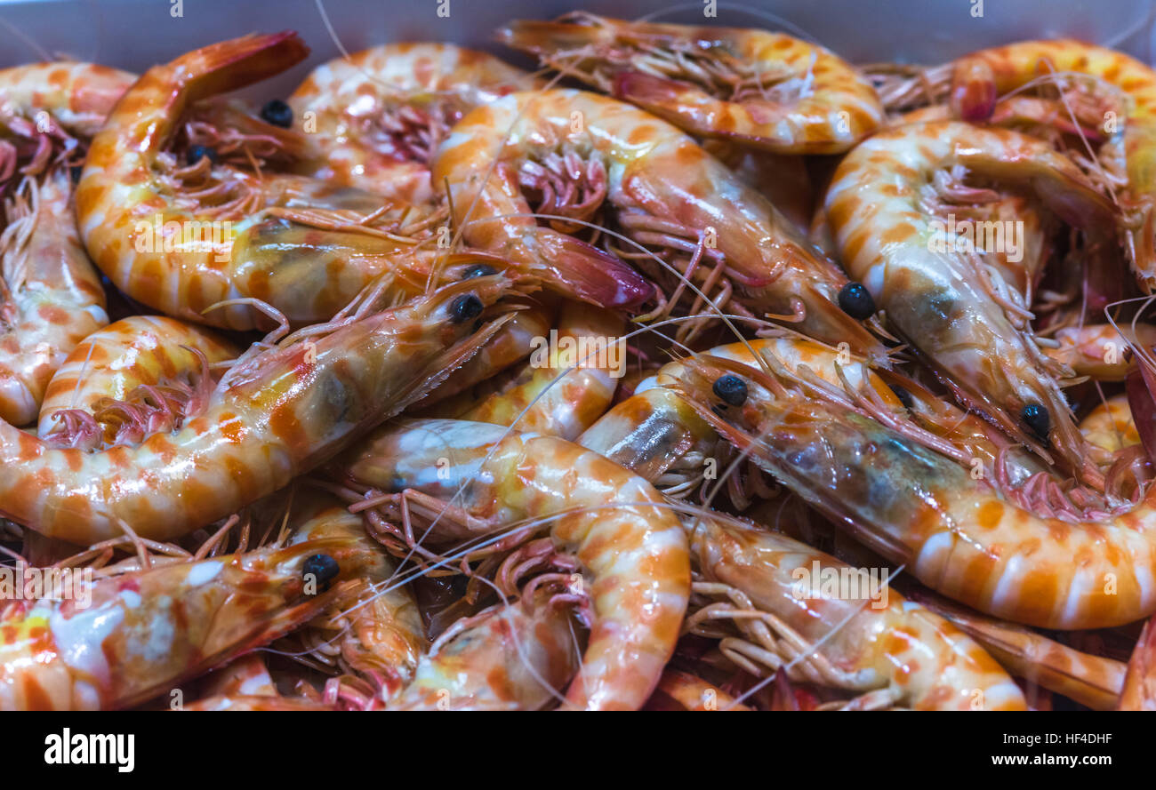 Prawns at san miguel market hi-res stock photography and images - Alamy