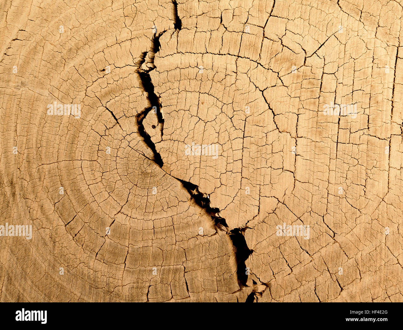 The old wood cracked log Stock Photo - Alamy
