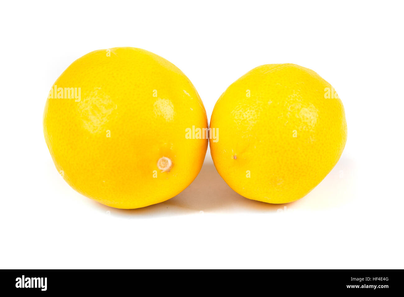 Two meyer lemons isolated on white background Stock Photo - Alamy
