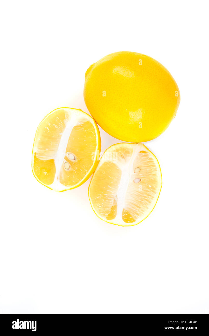 Two meyer lemons isolated on white background Stock Photo - Alamy