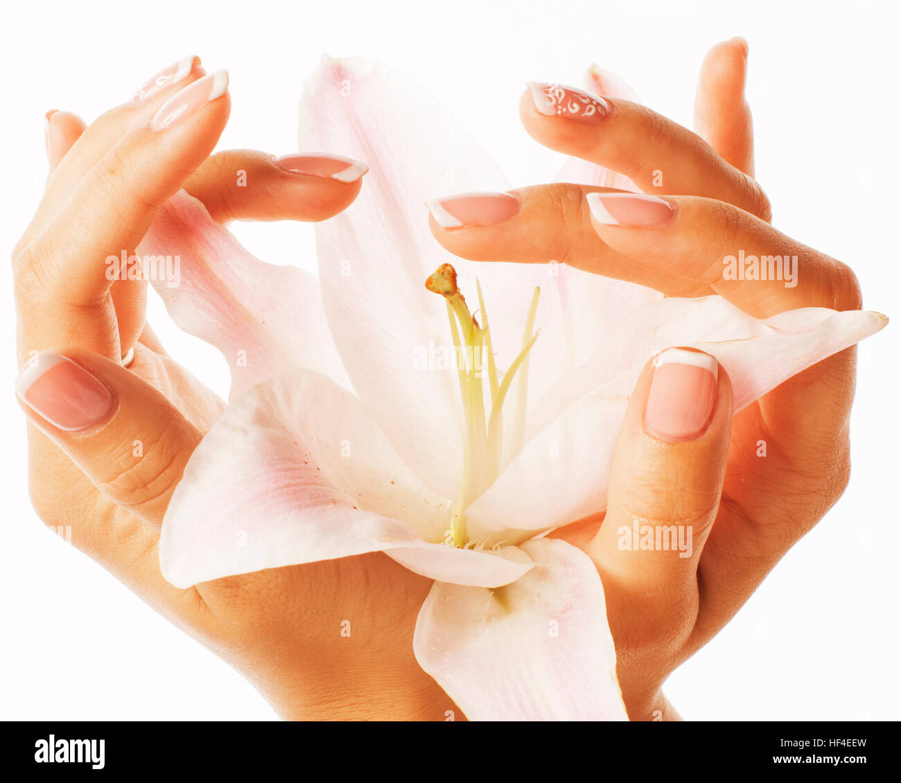 beauty delicate hands with manicure holding flower lily close up ...