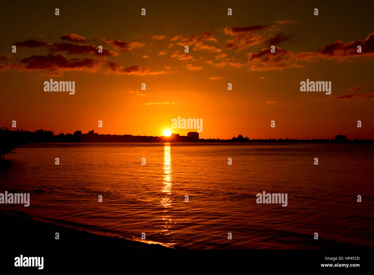 Golden sunset on the beach, sunlight, seascape Stock Photo - Alamy