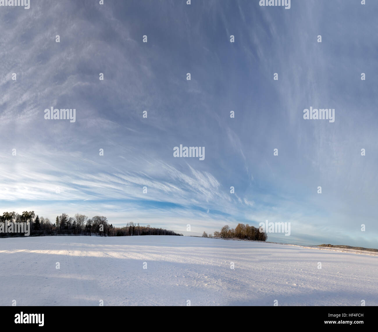 First sun after the first snow in a wintry landscape Stock Photo - Alamy