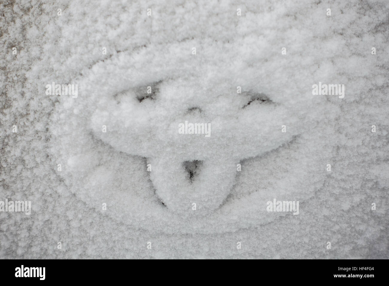 Toyota logo icon car hi-res stock photography and images - Alamy