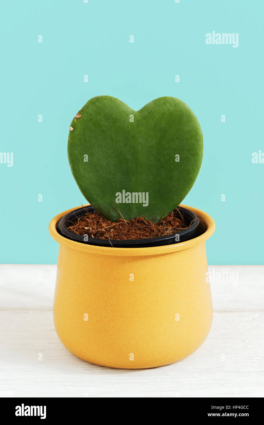 Heart of green hi-res stock photography and images - Alamy