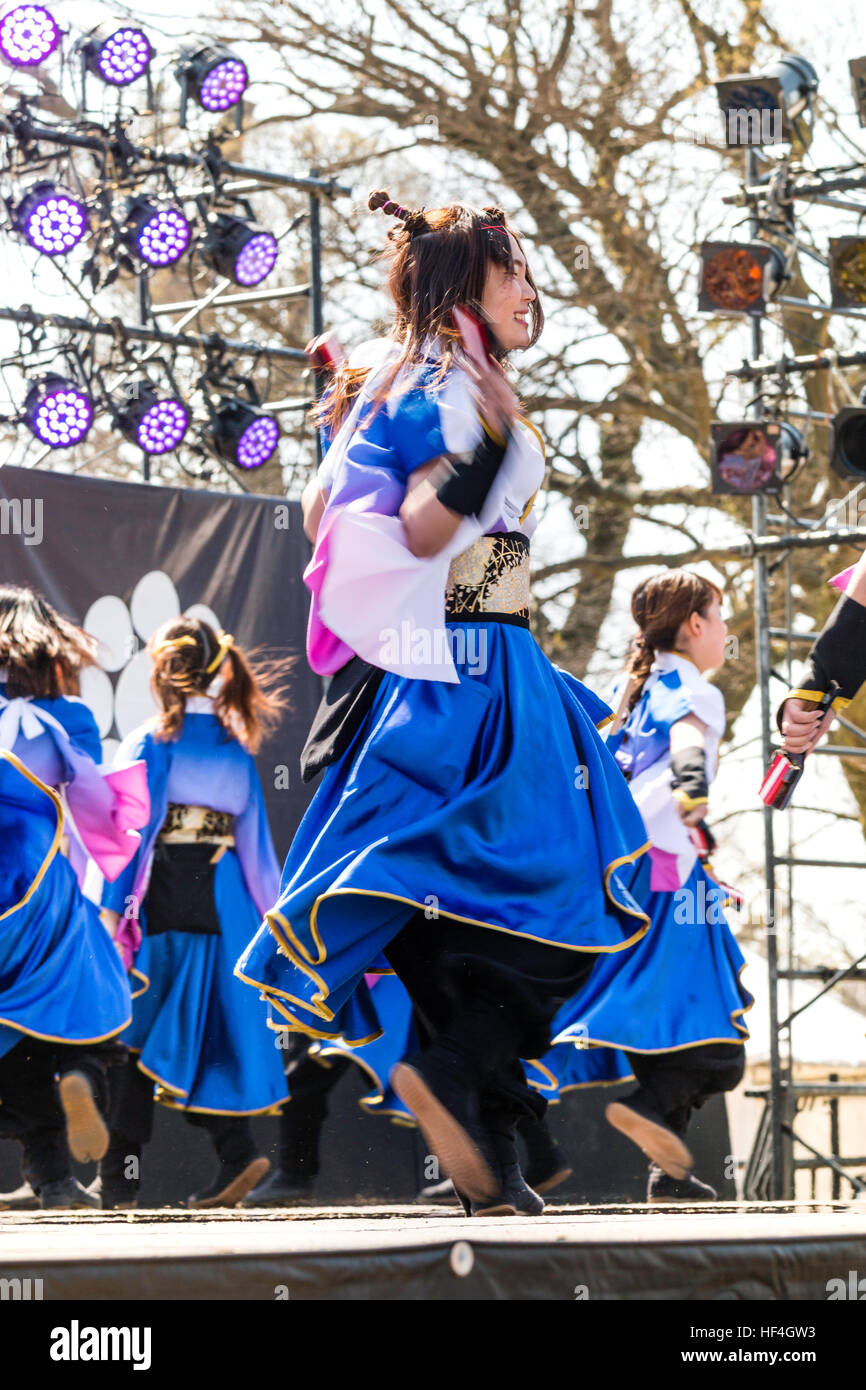 Japanese Yosakoi festival. Women dance team in blue yukata costumes ...