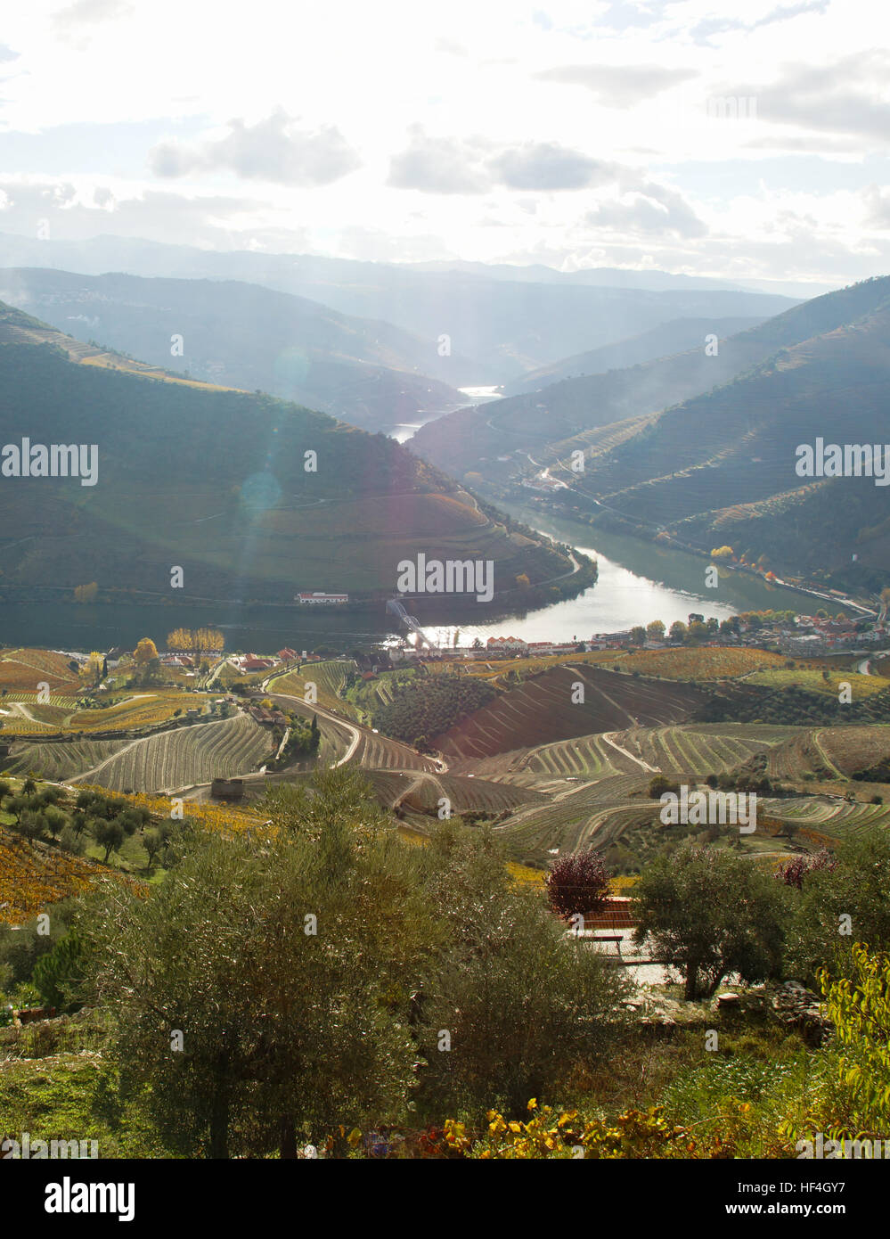 Douro terraces hi-res stock photography and images - Alamy