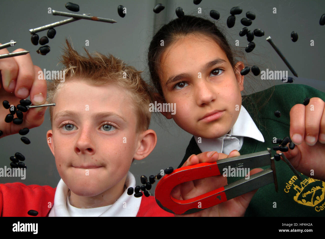 Students in a science class exploring magnetism with magnets and metal ...