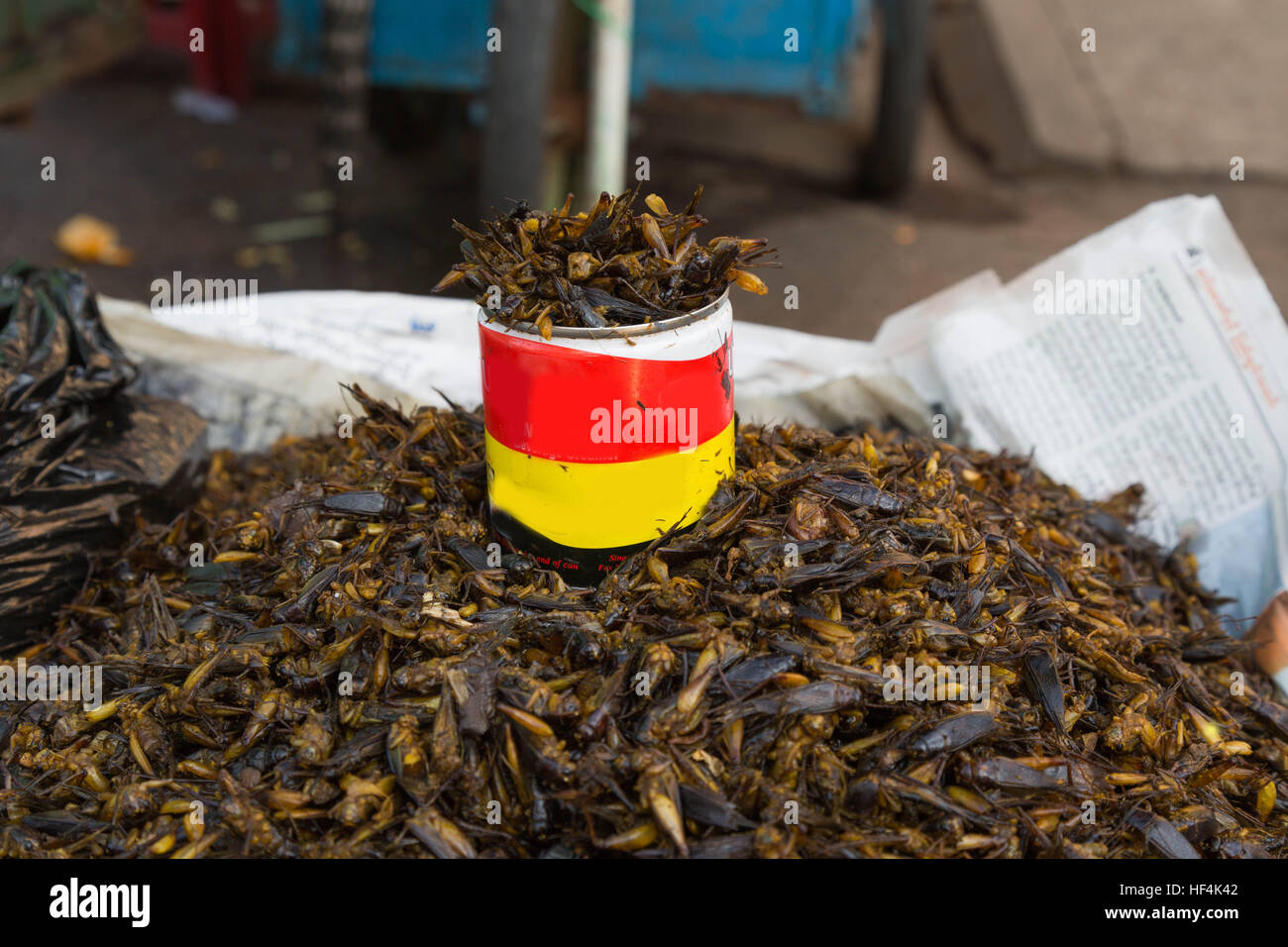 Some fried food insects, Myanmar Stock Photo - Alamy