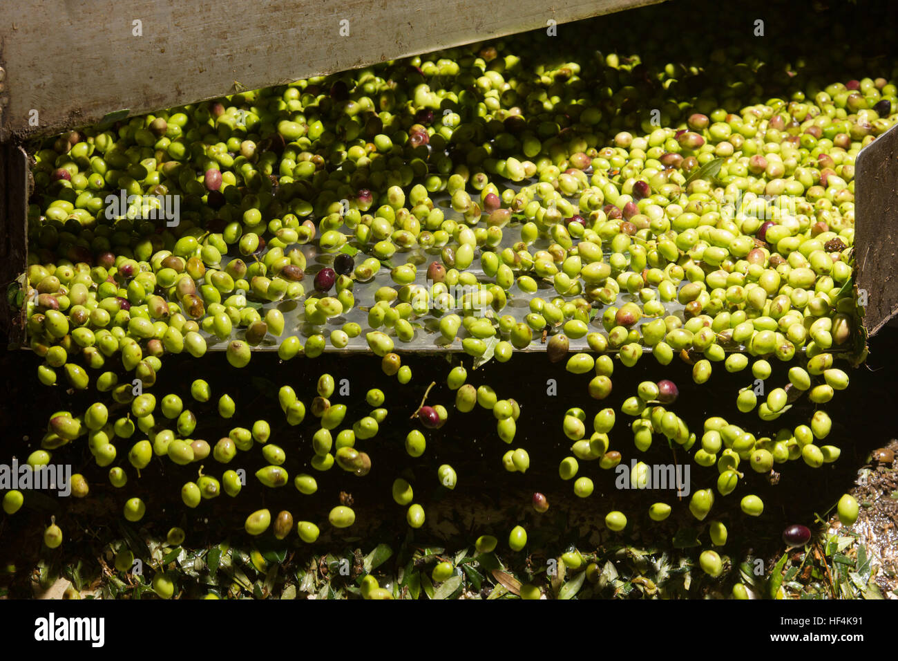 Extra process hi-res stock photography and images - Alamy