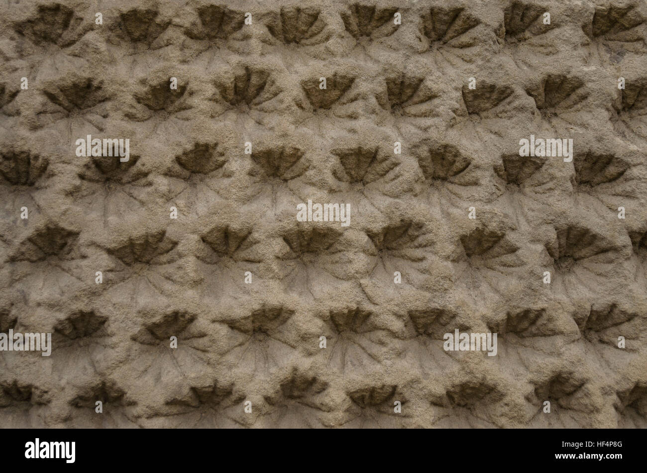 Relief pattern in sandstone Stock Photo - Alamy