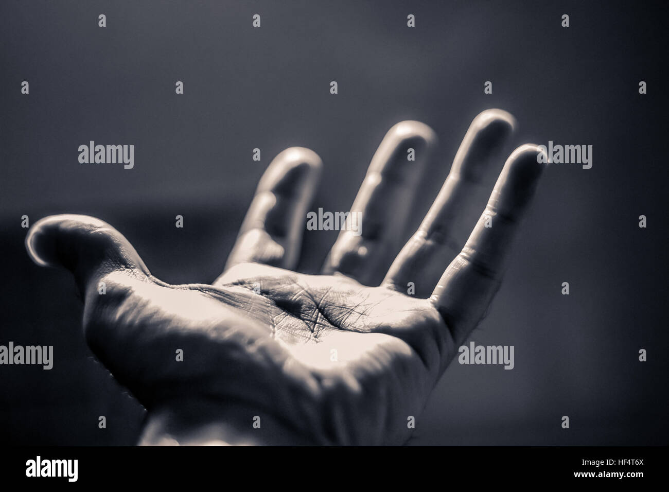Photograph of an open human hand Stock Photo - Alamy