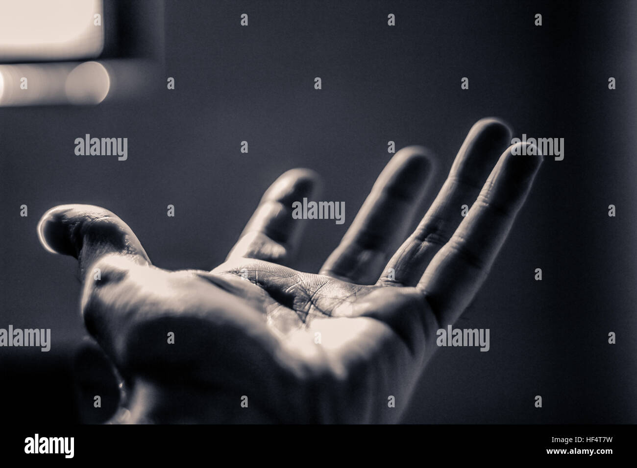 Human hand anatomy hi-res stock photography and images - Alamy