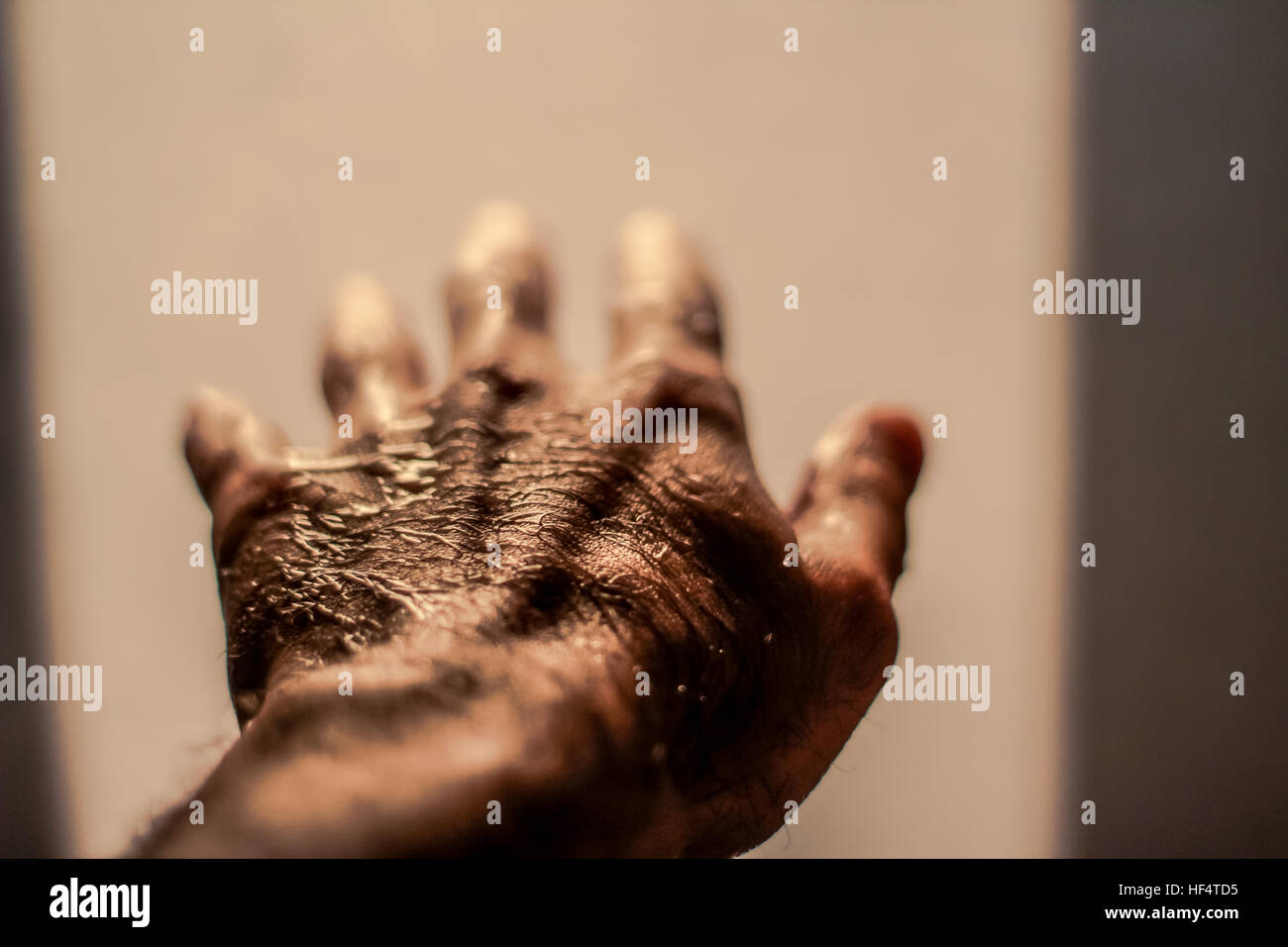 Photograph of an open wet human hand Stock Photo - Alamy