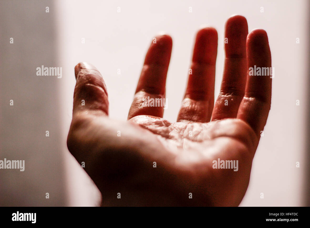 Photograph of an open human hand Stock Photo - Alamy