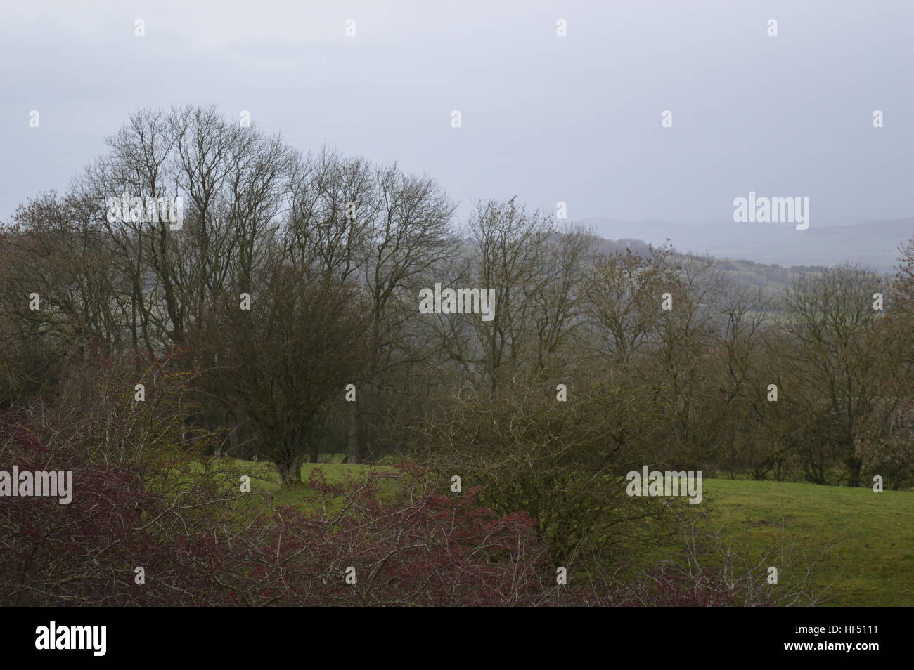 Farncombe Estate, Broadway, Cotswolds Stock Photo - Alamy