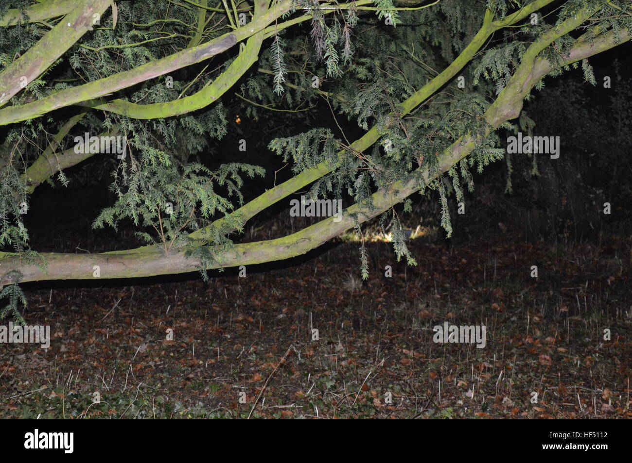 Farncombe Estate, Broadway, Cotswolds Stock Photo - Alamy