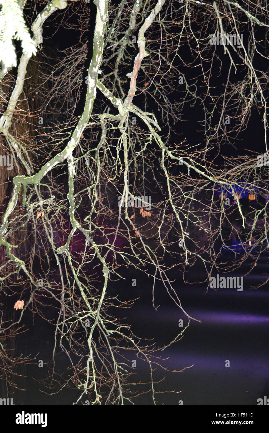 Farncombe Estate, Broadway, Cotswolds Stock Photo - Alamy