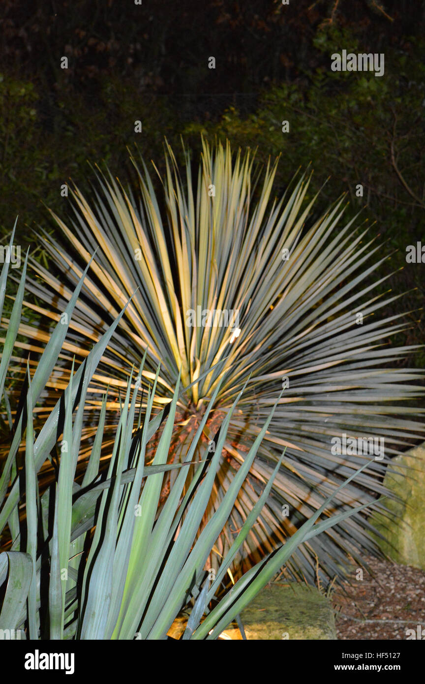 Farncombe Estate, Broadway, Cotswolds Stock Photo - Alamy