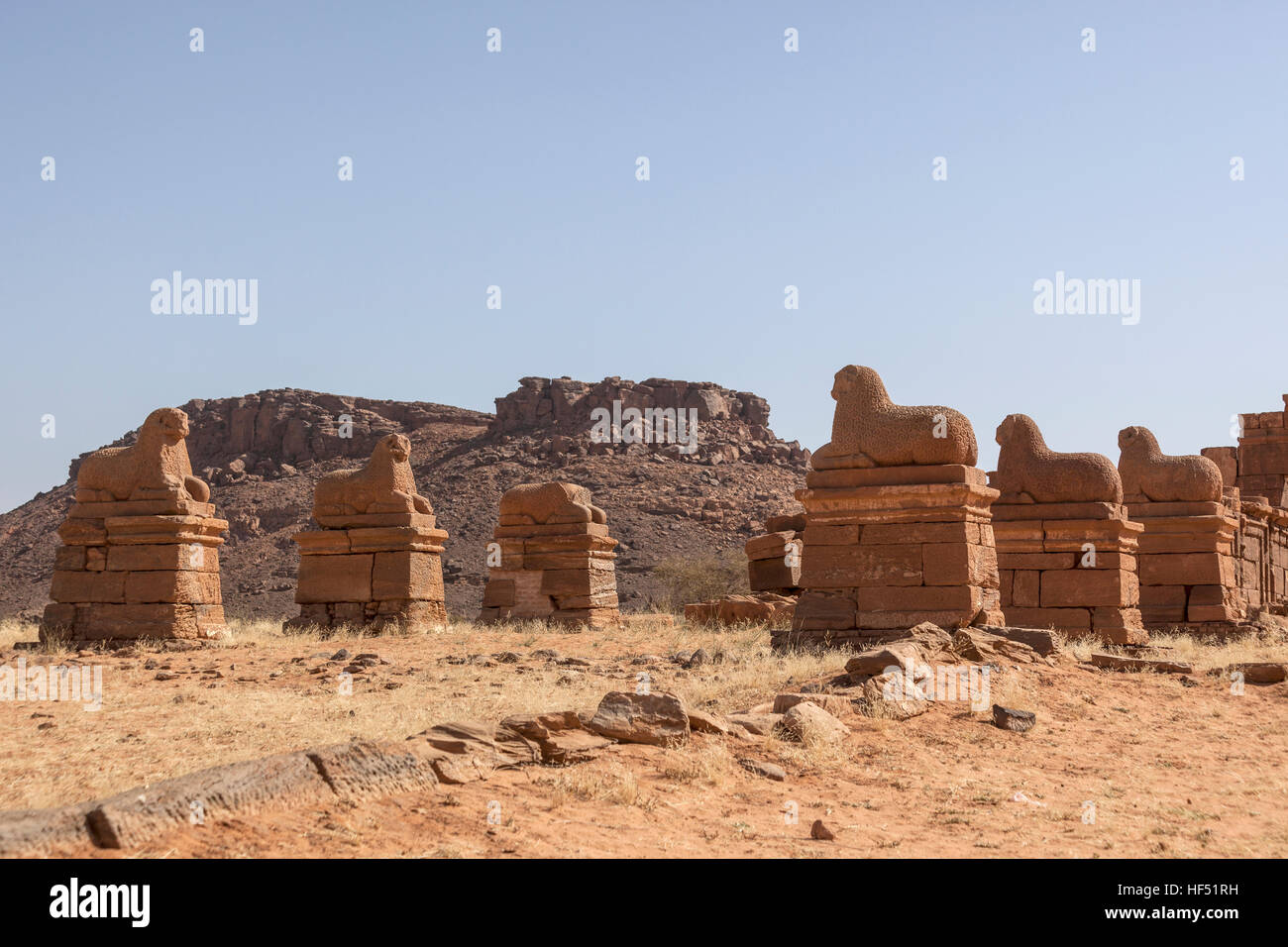 Avenue of statues of rams, Ancient site of Naqa, Sudan, Africa Stock ...