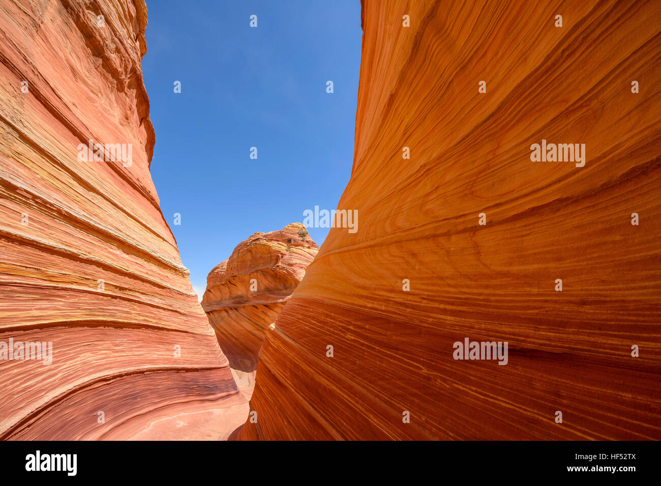 Red Sandstone Canyon - Wide angle view of a sandstone canyon at The ...
