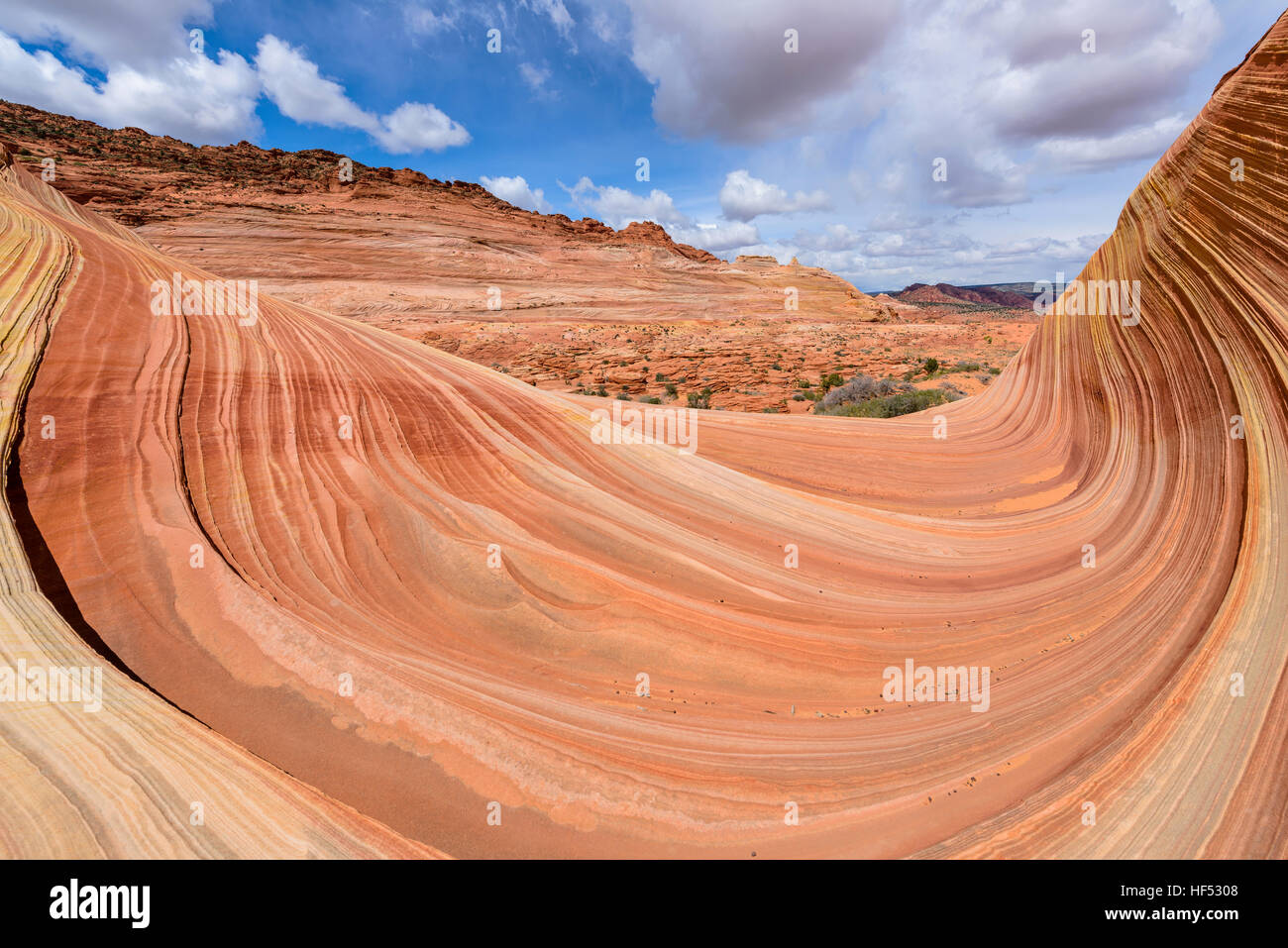 Big Wave - wide angle view of a big sandstone wave at The Wave, a ...