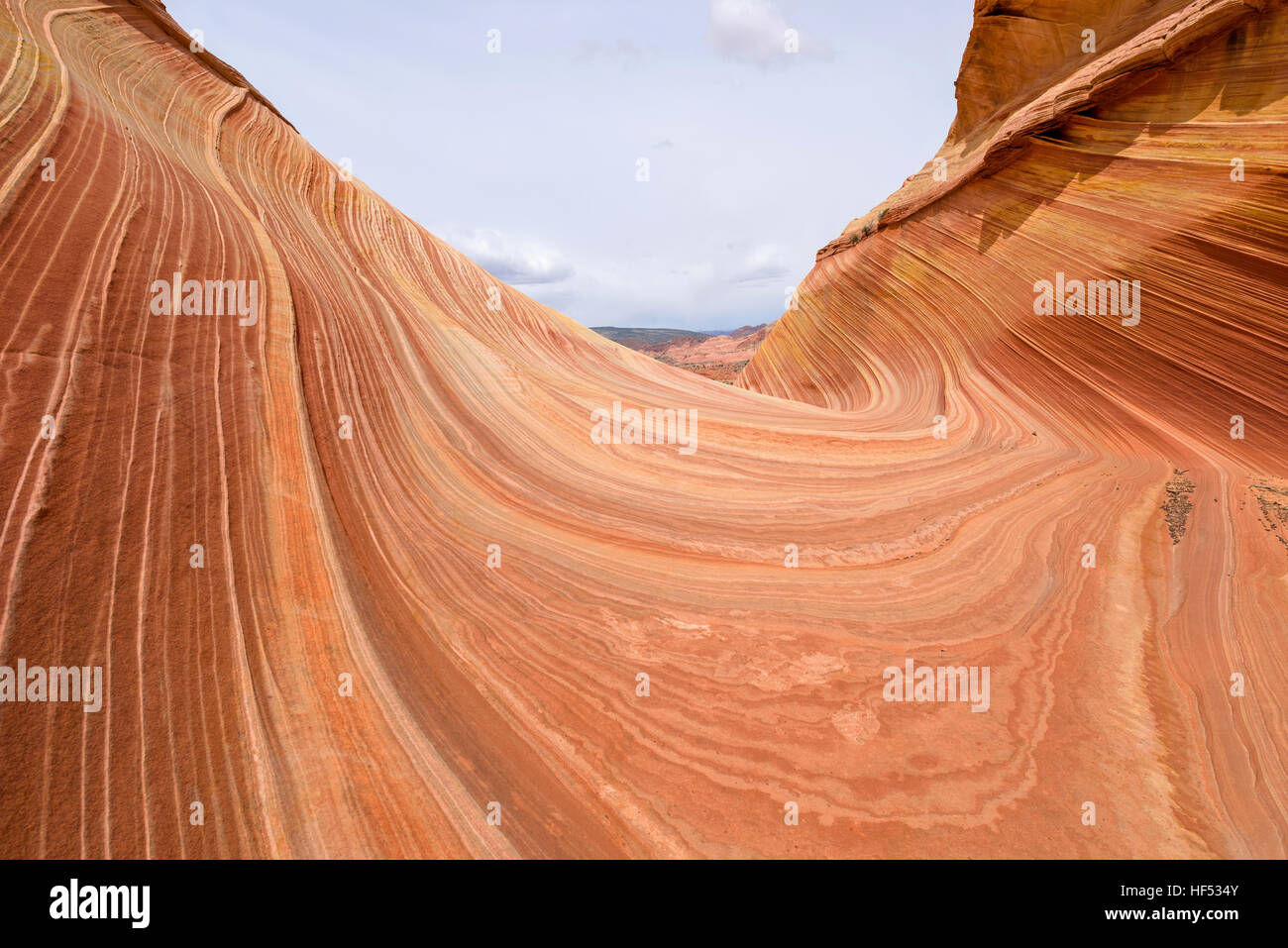 Red Rock Waves - Red swirling sandstone rocks at The Wave - a dramatic ...