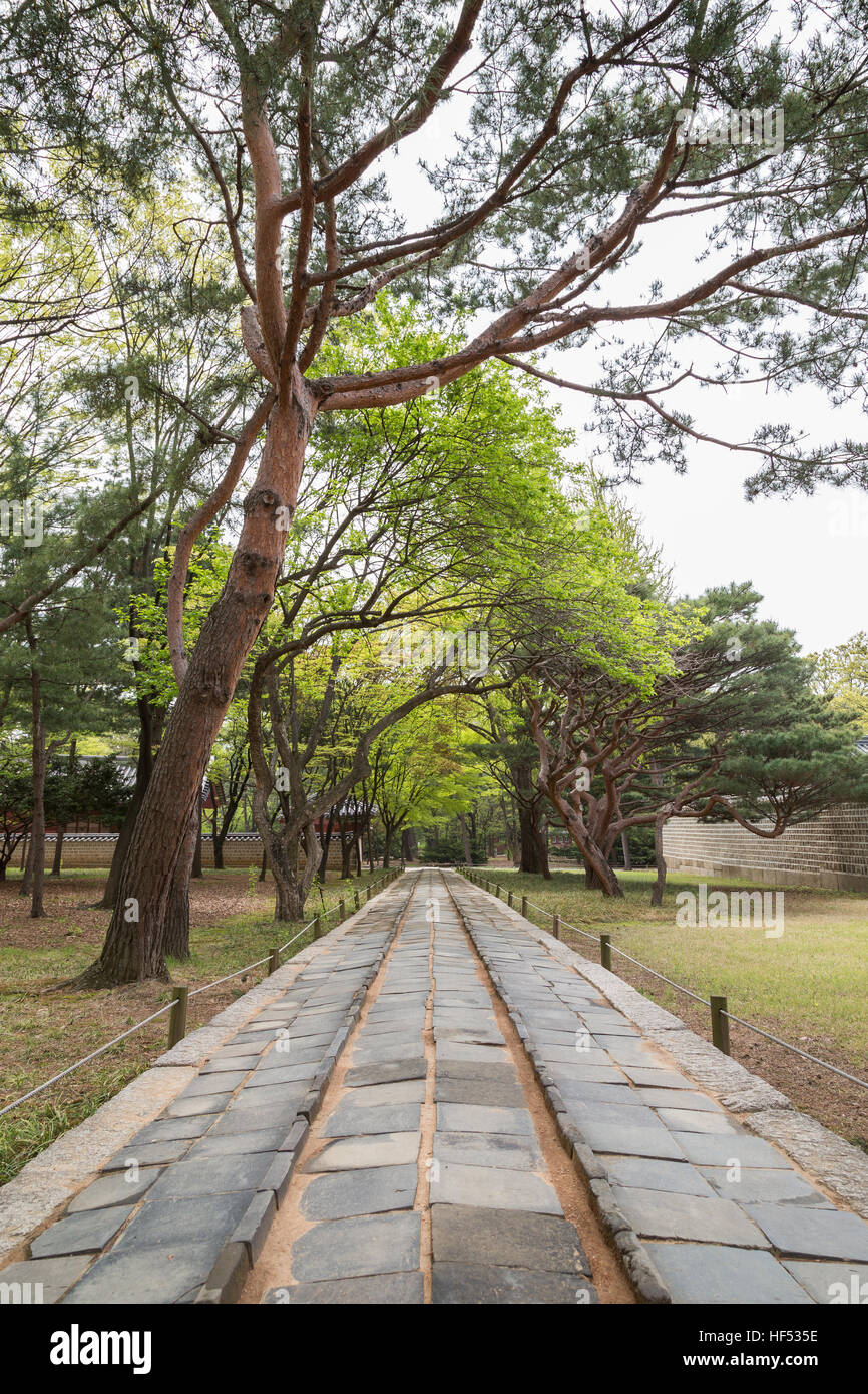 Front pathway hi-res stock photography and images - Alamy