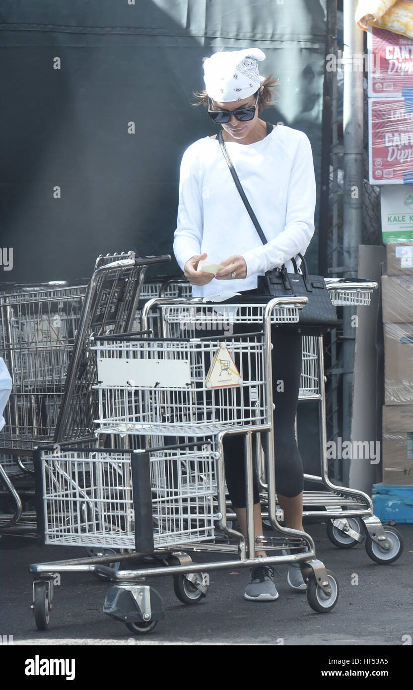 Lisa Rinna brings her grocery list to Whole Foods on the day before ...