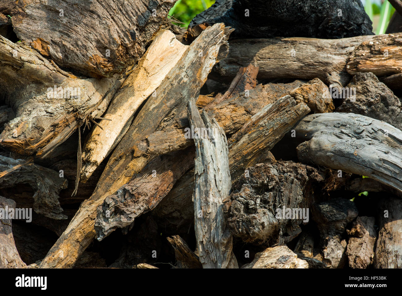 Piled wooden logs hi-res stock photography and images - Alamy