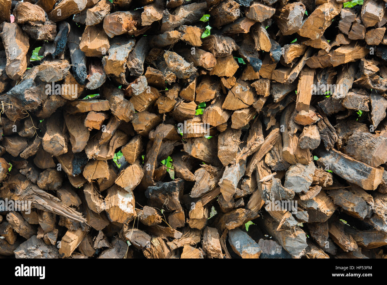 Piled wooden logs hi-res stock photography and images - Alamy