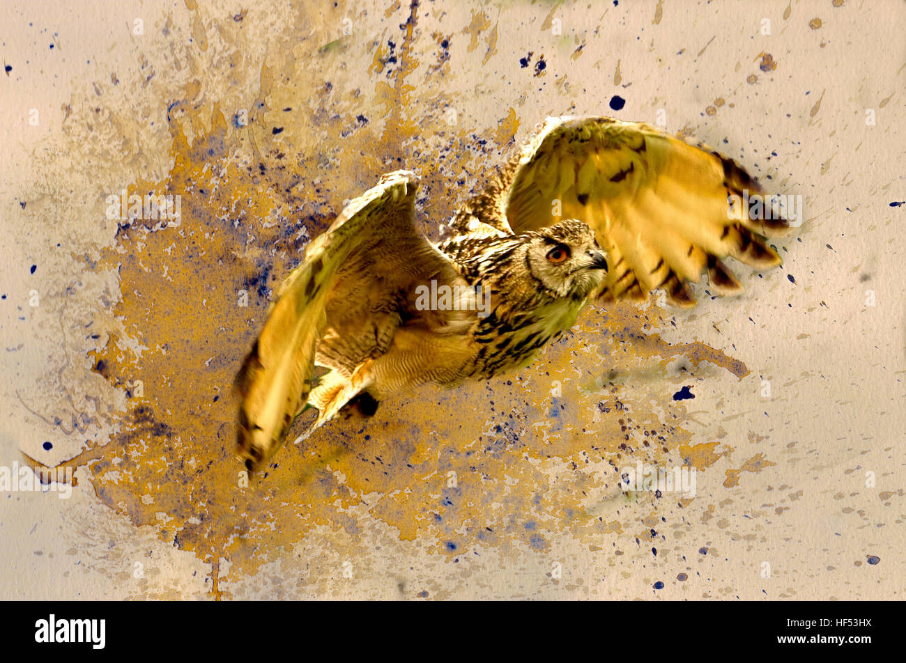 Powerful explosion hi-res stock photography and images - Alamy