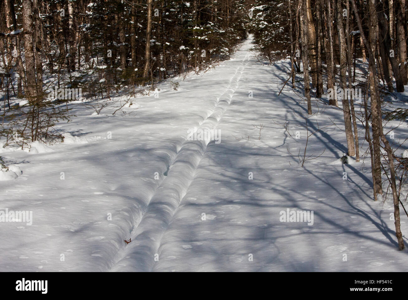 Notch guide hi-res stock photography and images - Alamy