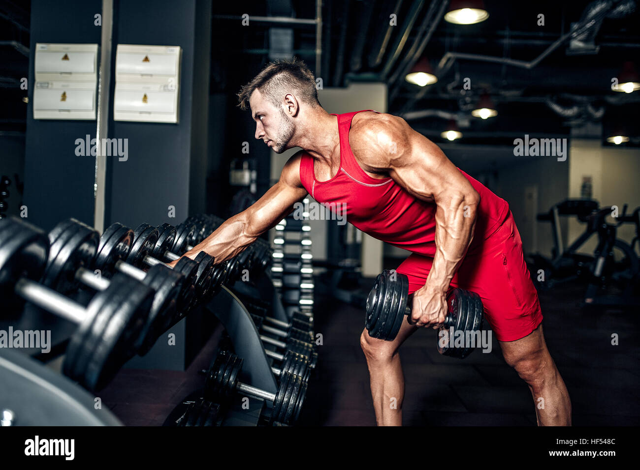 Determined bodybuilder lifting heavy black dumbbells at the gym Stock ...