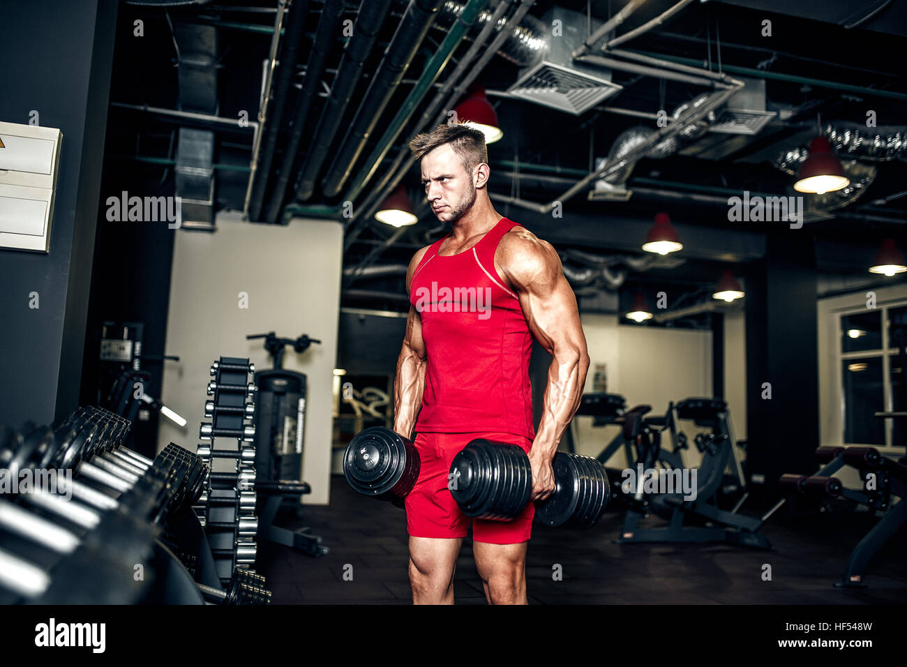 Handsome muscular man is working out and posing at a gym Stock Photo ...