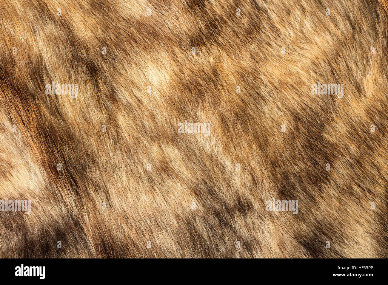 the abstract background texture of natural fur wolf Stock Photo - Alamy