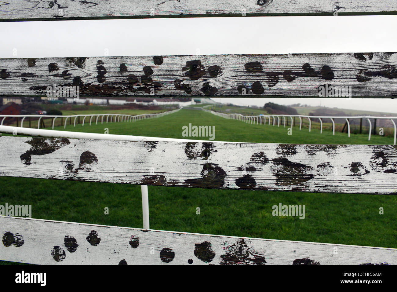 Brighton racecourse hi-res stock photography and images - Alamy