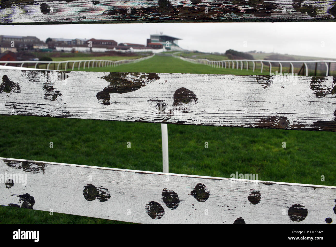 Brighton racecourse hi-res stock photography and images - Alamy