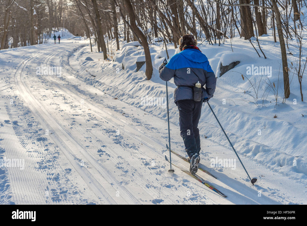 Montreal, Canada - 15 December 2016: Rear view of man skiing on Mount ...