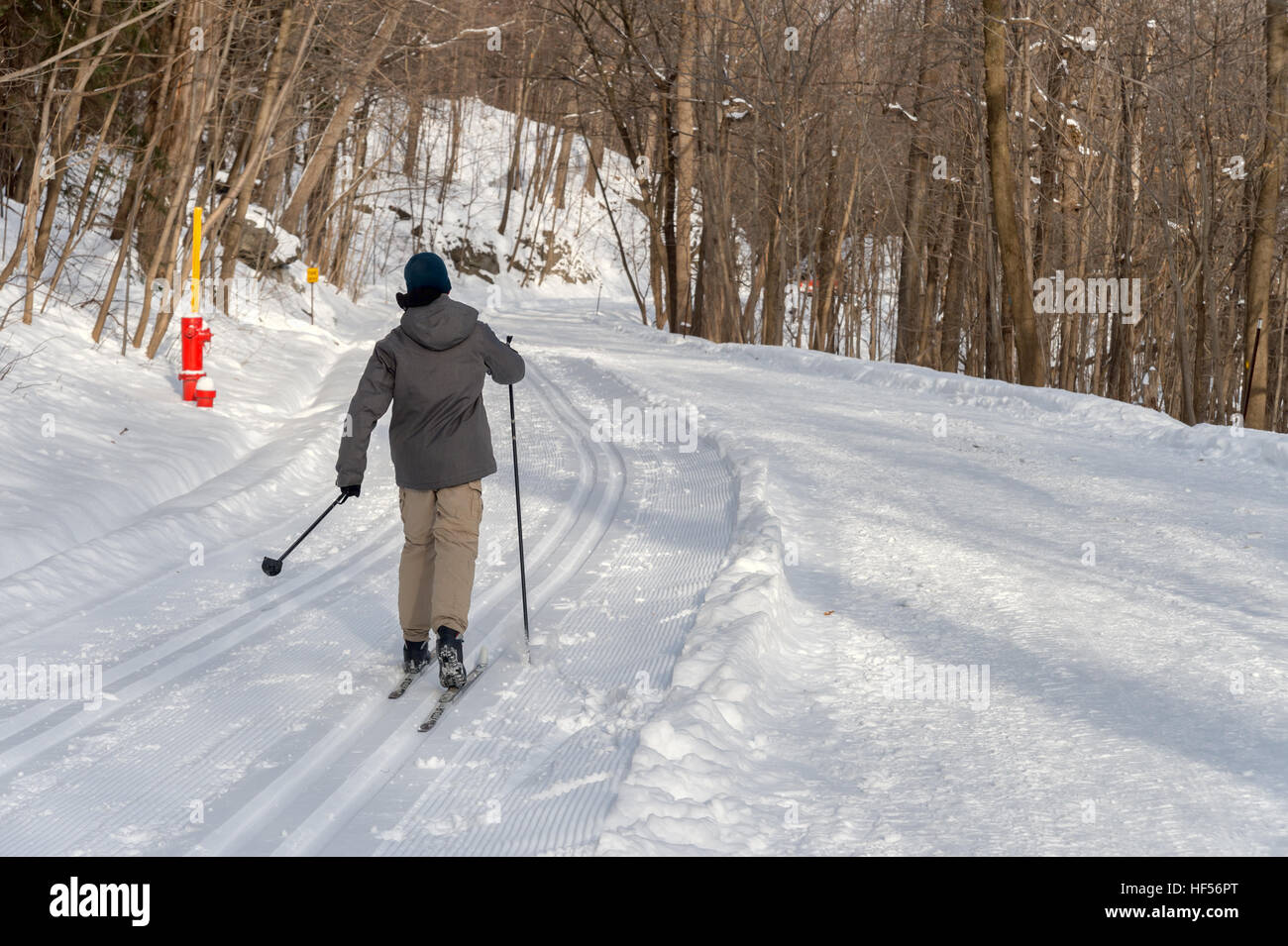 Montreal, Canada - 15 December 2016: Rear view of man skiing on Mount ...
