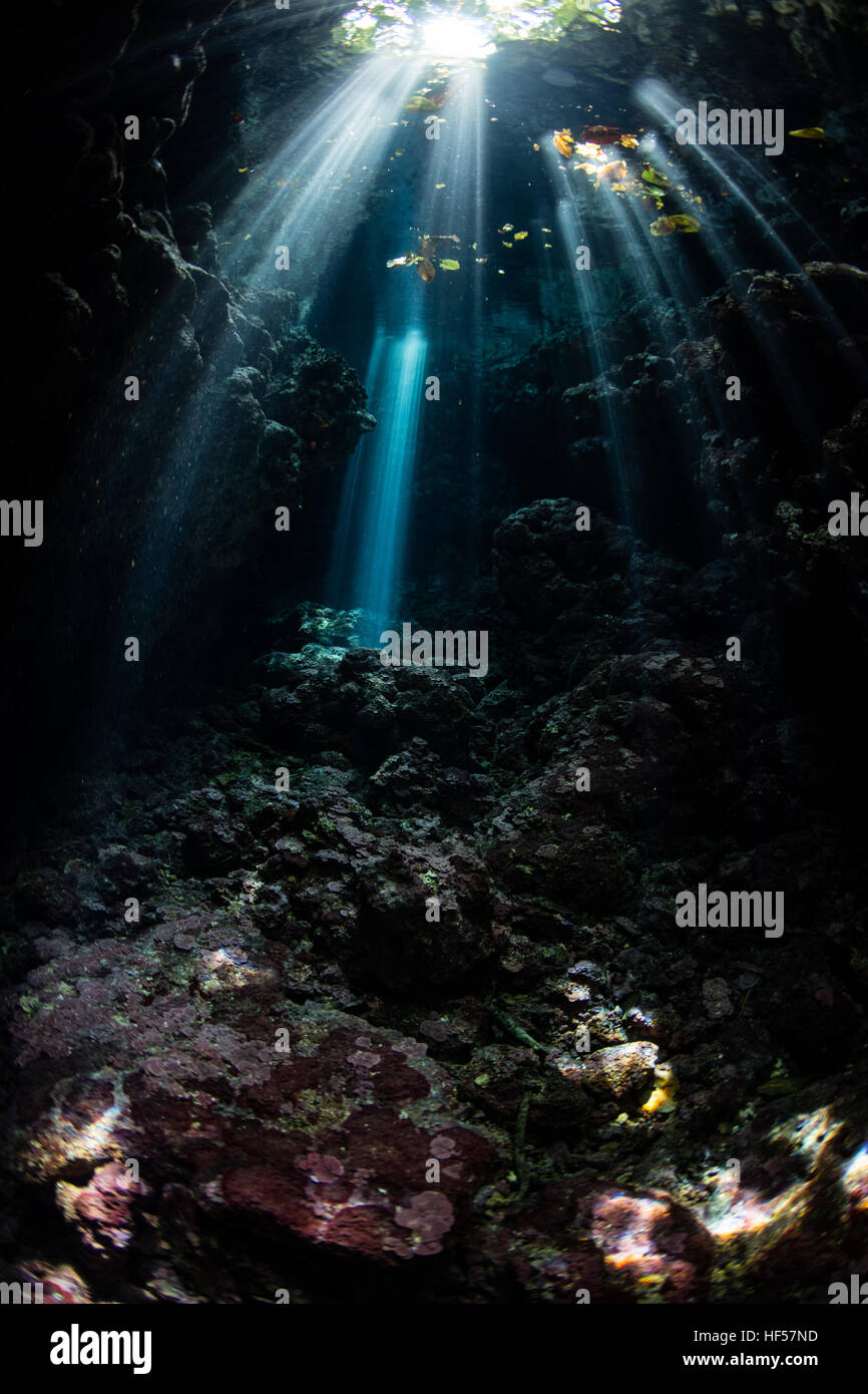 Beams of bright sunlight descend into a dark, underwater grotto in the ...