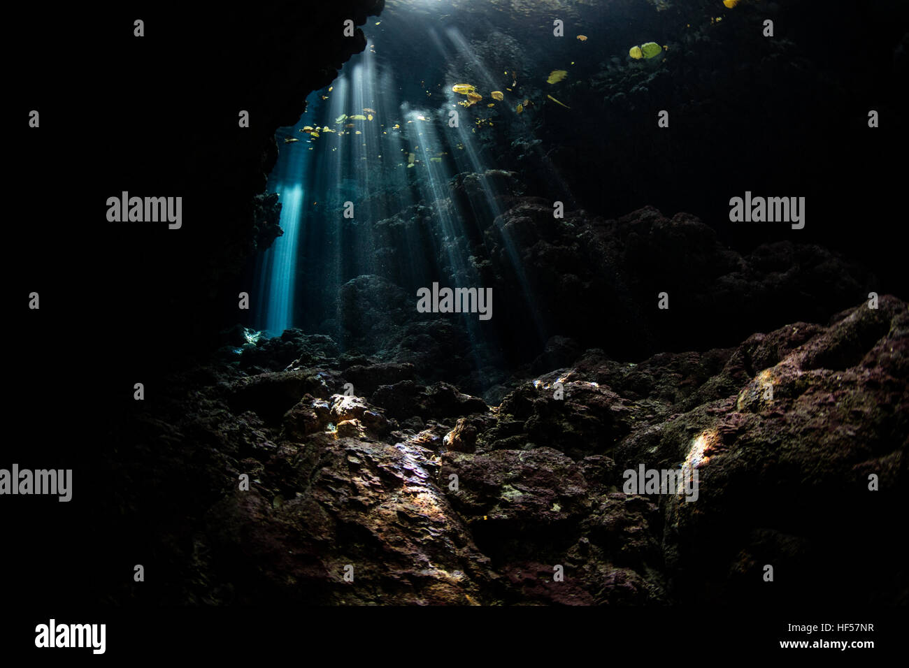 Beams of bright sunlight descend into a dark, underwater grotto in the ...