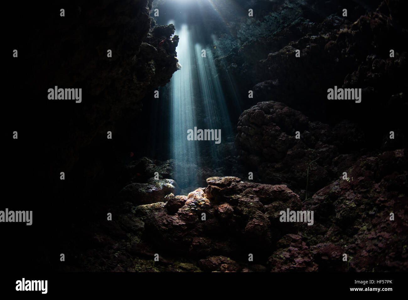 Beams of bright sunlight descend into a dark, underwater grotto in the ...