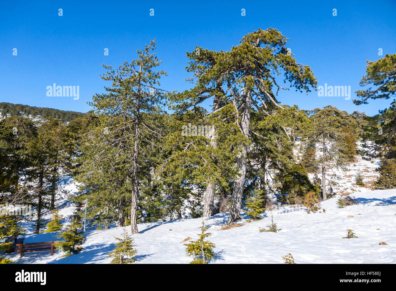 Troodos snow mountains hi-res stock photography and images - Alamy