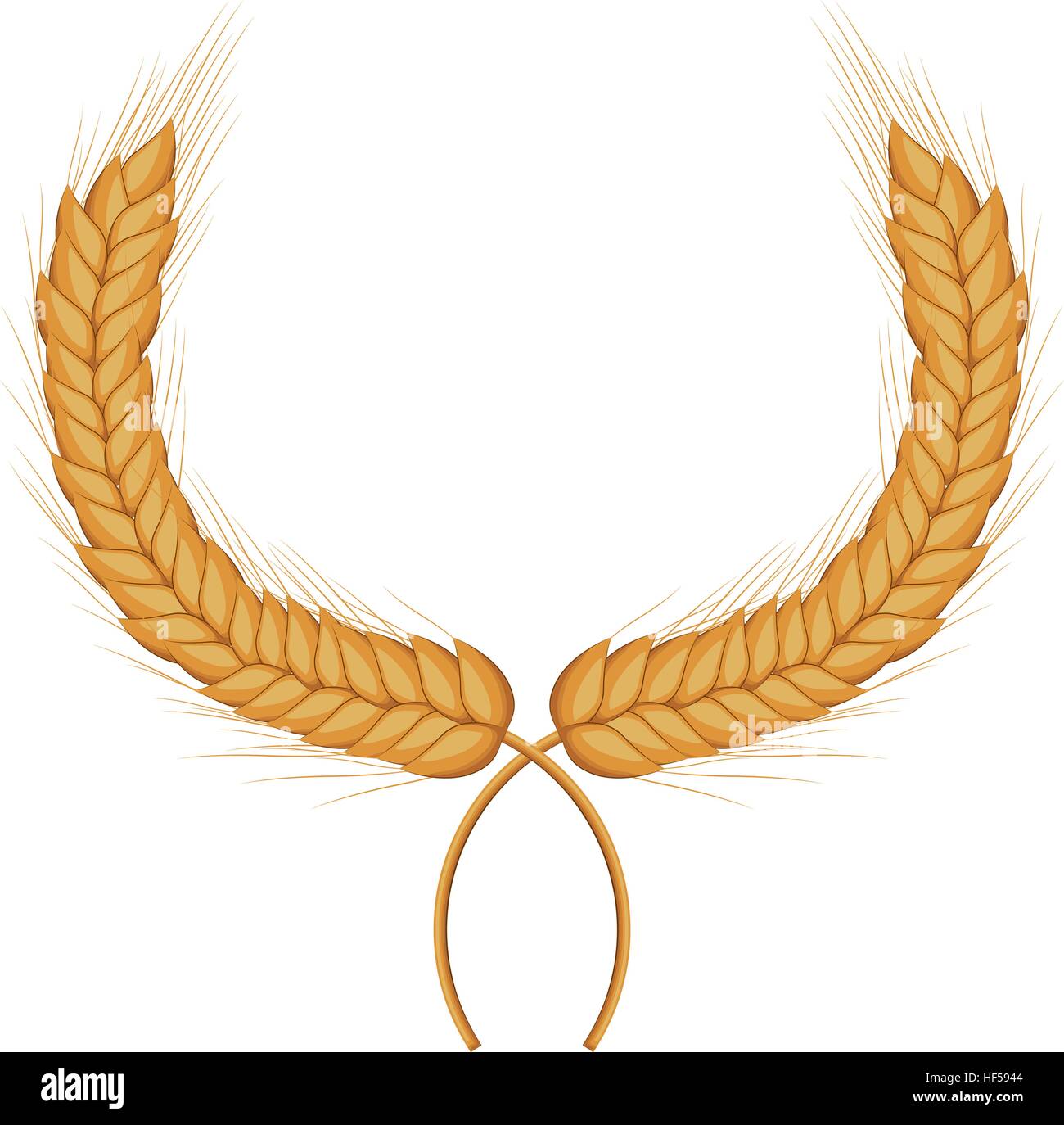 Wheat ear icon. Food grain agriculture and natural theme. Isolated ...
