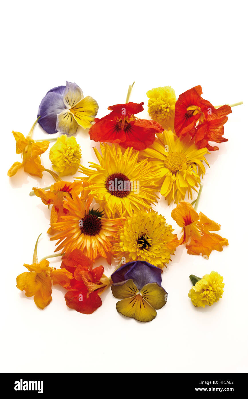 Various medicinal plant blossoms: pot marigold, nasturtium, violet and ...