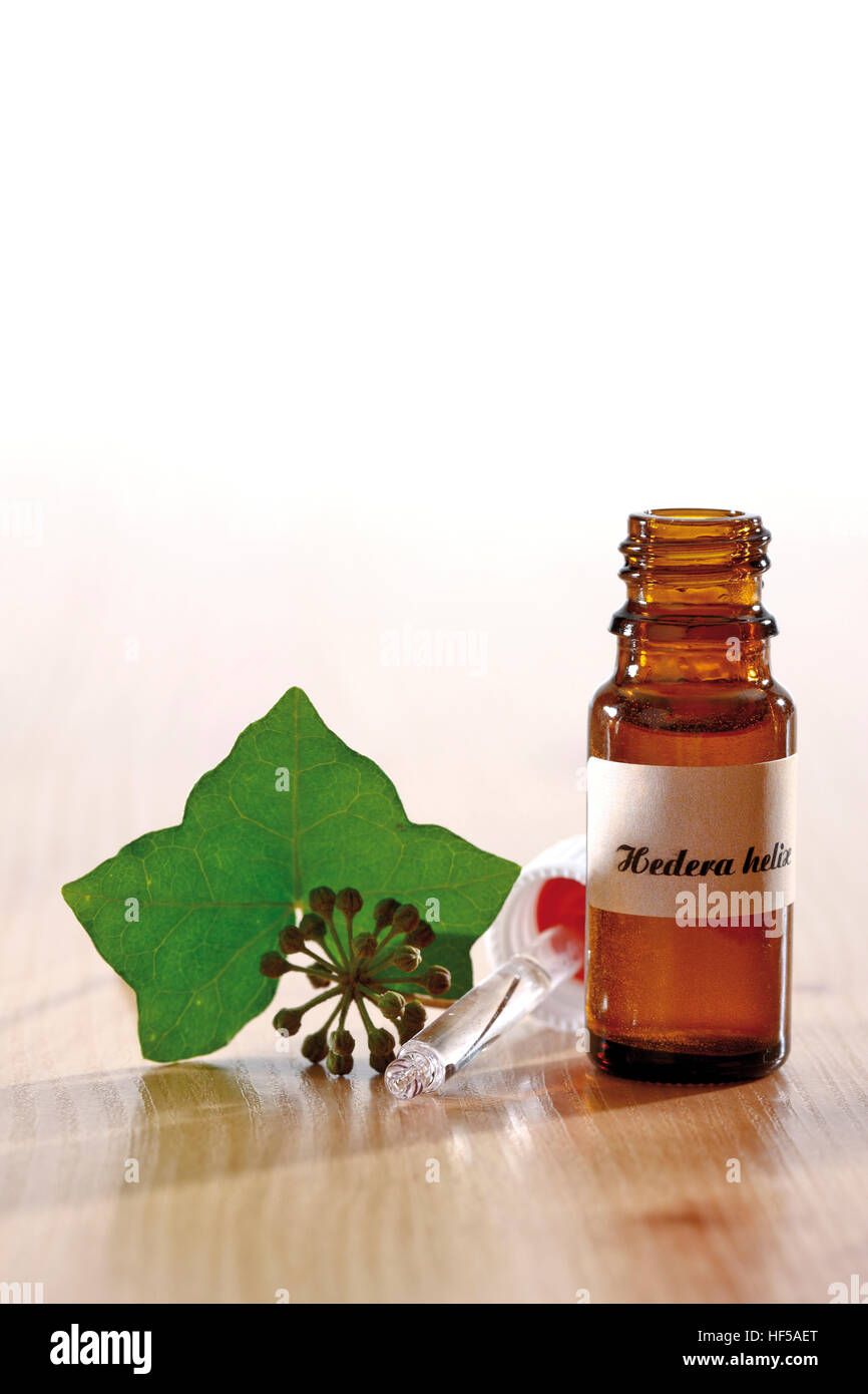 Homepathic ivy (Hedera helix) liquid, bottle and pipette, ivy leaf and ...