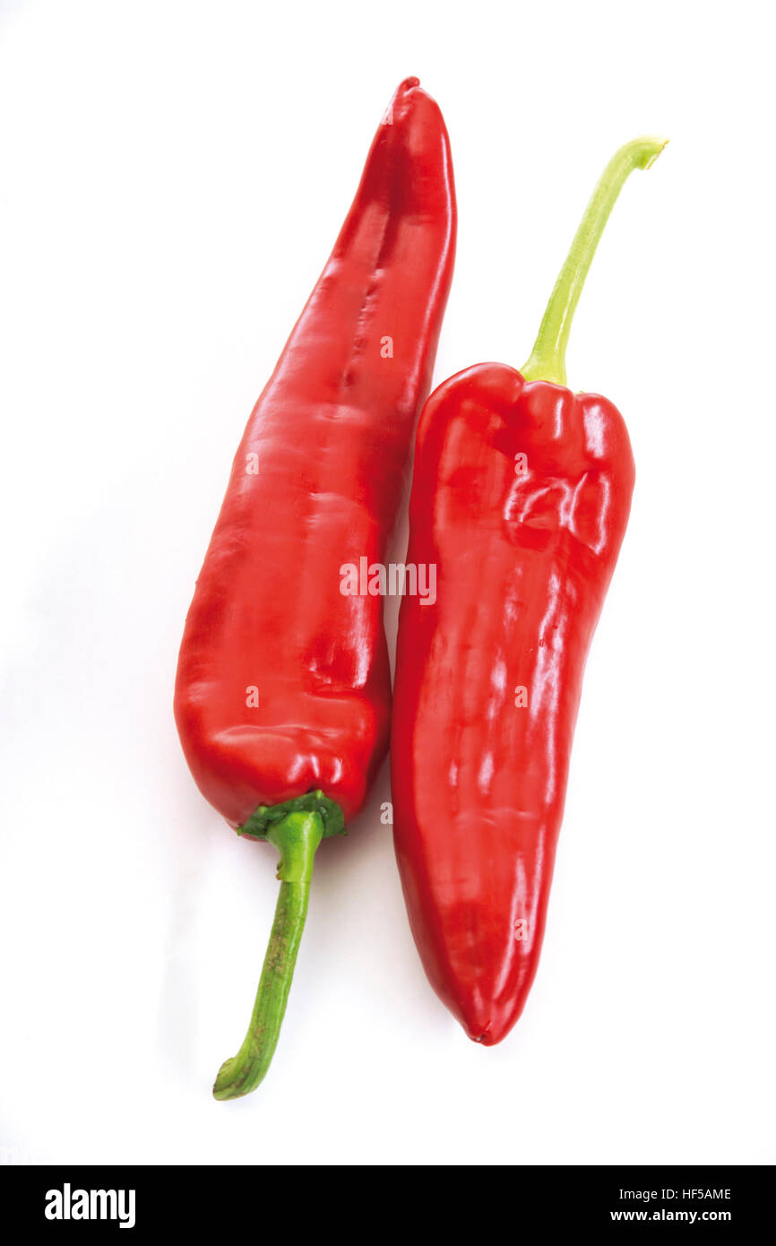 Tow large red hot peppers (Capsicum Stock Photo - Alamy